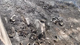 महोबा में ट्रांसफार्मर में हुए फॉल्ट की चिंगारी से खेत में लगी भीषण आग ...