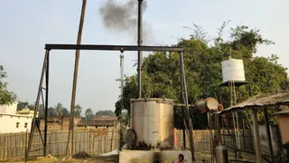 Vetiver Farming: कोसी की बंजर जमीन पर उग रहा हरा सोना, 70 हजार की लागत ...
