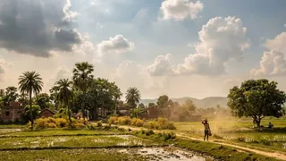Bihar Weather Update: बिहार में 3 दिनों तक सताएगी उमस भरी गर्मी, 18 ...