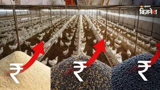 अब Poultry Sector से आई बुरी खबर! महंगाई बढ़ने से पोल्ट्री ब्रीडर्स ...