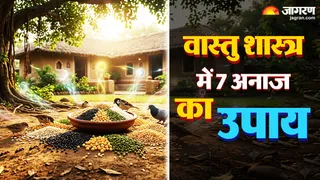 रोज सुबह पक्षियों को सतनाजा खिलाने से कैसे दूर होते हैं घर के सारे ...