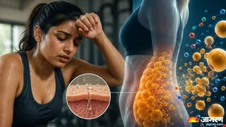 पसीना बहाने से नहीं पिघलती चर्बी! जानें फिटनेस से जुड़े इस झूठ पर क्या ...