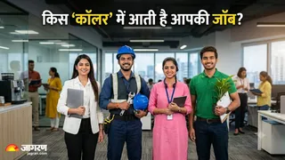 व्हाइट, ब्लू, पिंक और ग्रीन कॉलर जॉब्स में क्या होता है अंतर? समझें अलग ...