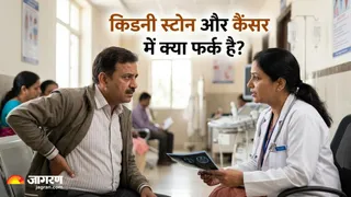 क्या आपको भी होता है किडनी के पास दर्द? जानिए कब यह 'पथरी' के बजाय, हो ...