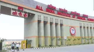 हिमाचल के बिलासपुर में बंदरों का आतंक, मंदिर सो लौट रहे बुजुर्ग पर किया ...