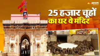 इस मंदिर में रहते हैं 25,000 चूहे, गलती से भी मर जाए एक... तो चढ़ाना ...