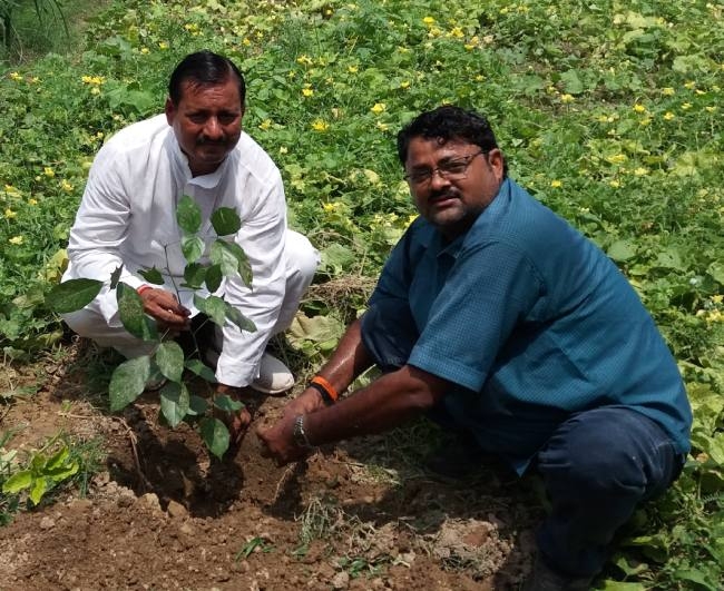 जीवनदाता पौधों का रोपण और सुरक्षा सबकी नैतिक जिम्मेदारी - Livelihood ...