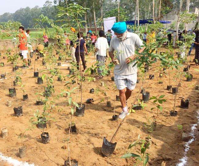 ईको सिख ने एनजीओ संग साहनेवाल में तैयार किया ‘गुरुनानक पवित्र जंगल ...