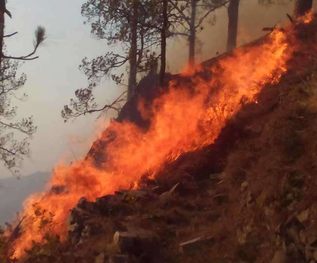 फायर सीजन के दरम्यान जंगलों पर ड्रोन से रखी जाएगी नजर - Using Drones to ...