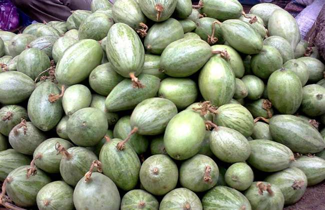 उत्‍पादन- परवल का भाव व उत्पादन दोनों अच्छा होने के कारण किसान काफी खुश