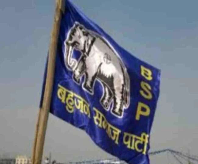 जानिए कौन से पूर्व मंत्री और पूर्व एमएलसी ने फिर की हाथी की सवारी Agra ...