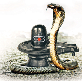 जीवन-रक्षक नाग देवता