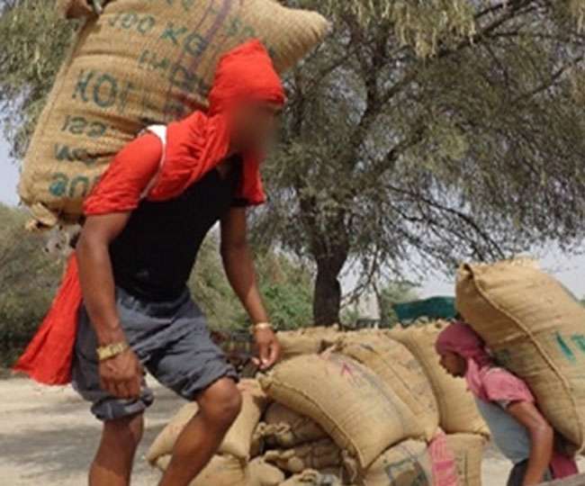 हम्मालों की पीठ से कम होगा आधा बोझ, आदर्श श्रम मानक का होगा पालन