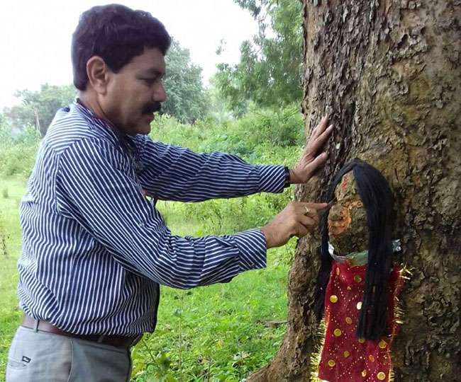 पेड़ बचाने के लिए आजमाया नायाब तरीका, कुछ सालों में तैयार हो गया कई ...