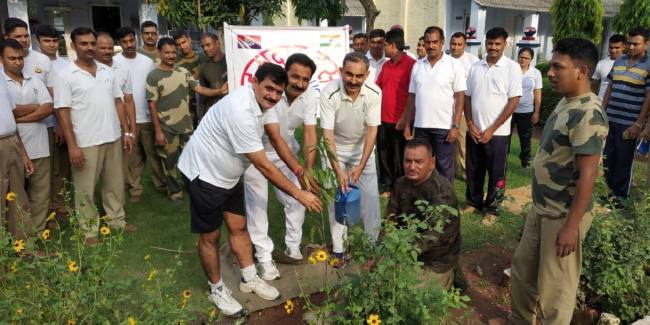 पौधरोपण कर बचाएं पर्यावरण, तभी सुरक्षित रहेंगे आप और हम - Plant Jagaran ...