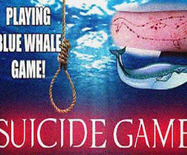ब्लू ह्वेल चैलेंज गेम से उत्तर प्रदेश में पहली मौत, 50 दिन 50 टास्क और ...