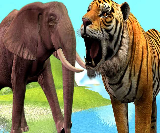 बेतला नेशनल पार्क में बढ़ गए बाघ और हाथी