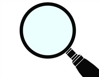 लोक लेखा समिति ने निगरानी जांच की सिफारिश की