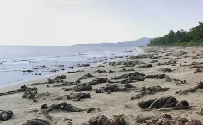 रामरी आईलैंड जहां लिखी गई मौत की डरावनी कहानी - Read horrific story of ...