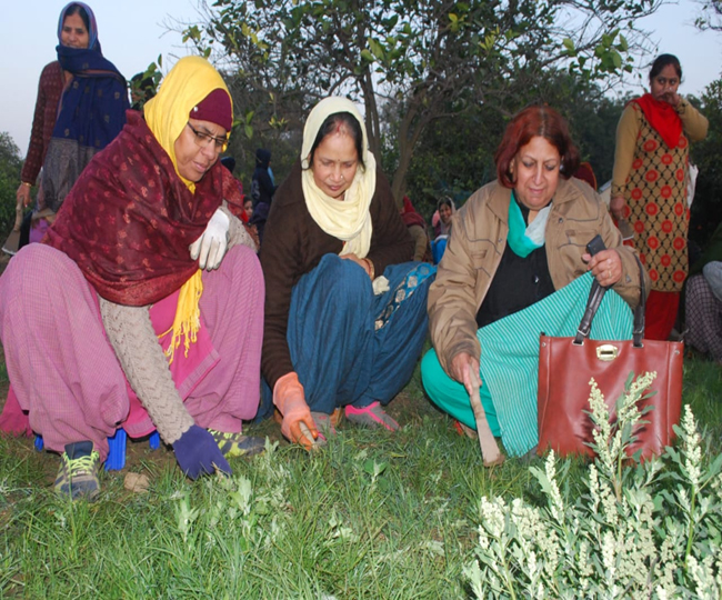 Celebration of Basant 2019: दयालबाग के वसंतोत्‍सव में दिखा 'सुपरमैन' का ...