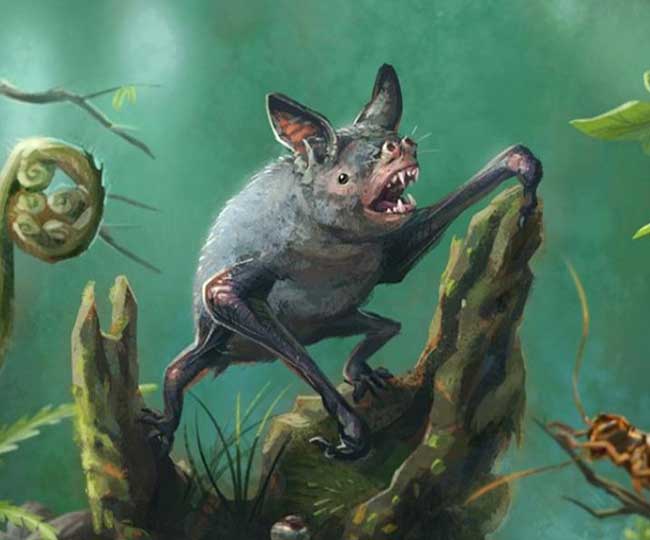 न्यूजीलैंड में मिला 19 लाख सालों पहले लुप्त हुए जाइंट चमगादड़ के जीवाश्म