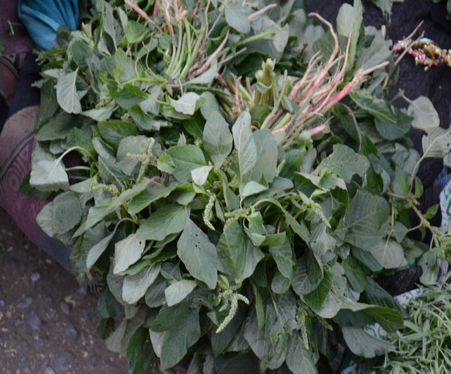 यूं ही नहीं इसका नाम है छत्तीसगढ़, जानें यहां की 36 भाजियां और उनके ...