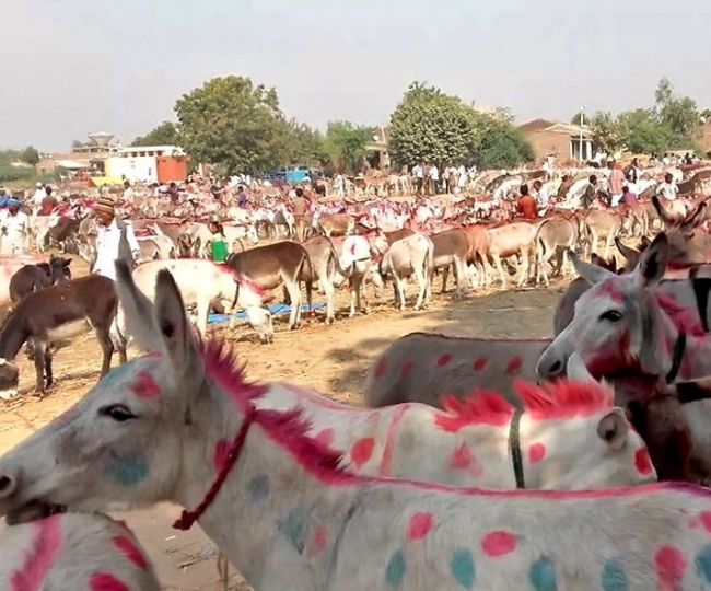 पाकिस्‍तान में गधों के मेलों में बिक रहे परमाणु बम, एके-47, राकेट लॉन् ...