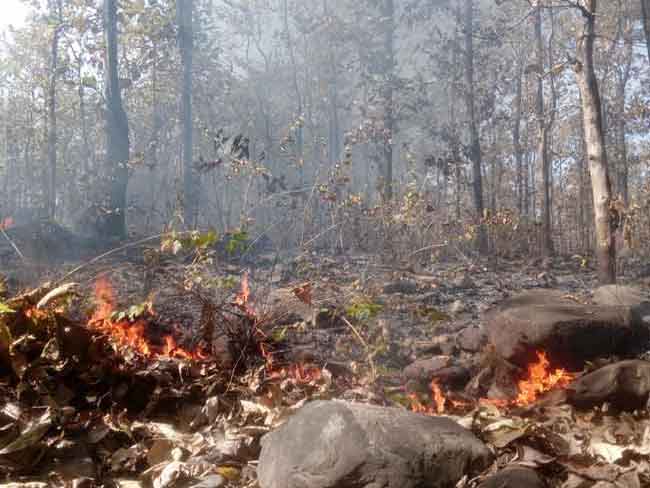 तेजी से धधक रहे उत्तराखंड के जंगल, गांवों तक पहुंचने लगी आग - Forest ...