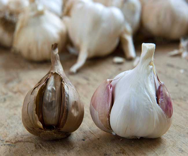 जानें कैसे दांत से दिल तक को दुरुस्‍त रखती है ये औषधि, जरा आजमा कर तो ...