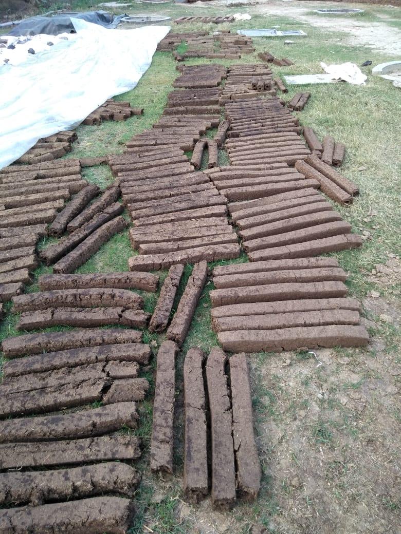 लकड़ी नहीं अब गोबर के लट्ठाें पर जलेगी चिता, एक-एक कतरा बनेगा सोना ...