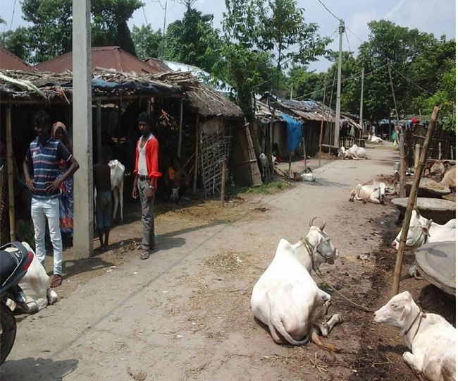 यहां मौत के बाद लोगों को नहीं मिलती इज्जत से दो गज जमीन, घर में ही ...