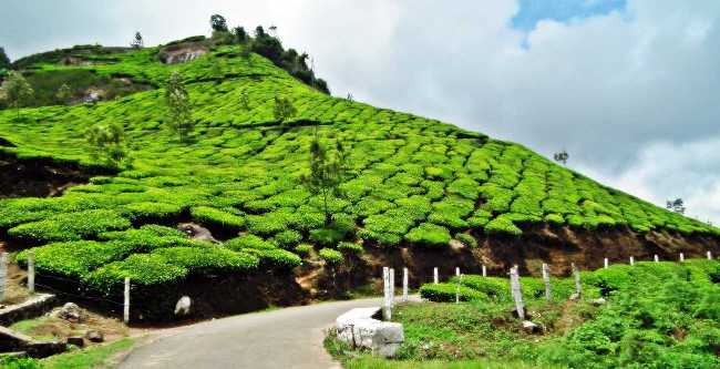 हरियाली और एडवेंचर स्पोर्ट्स के शौकीनों के लिए बेस्ट है मुन्नार, कर ...