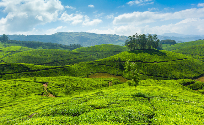 चंदन, मोगरे और मसालों की चारों ओर बिखरी खुशबू मैसूर घूमने को कर देंगे ...