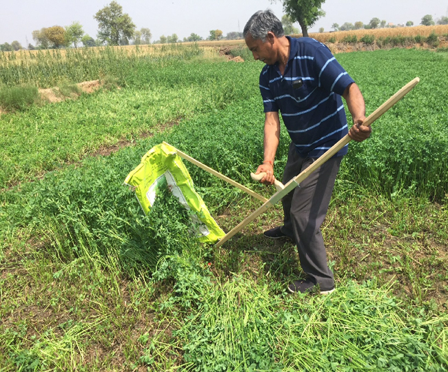 अब बैठकर ही नहीं खड़े-खड़े भी काट पाएंगे फैसल, पराली की समस्‍या से भी ...