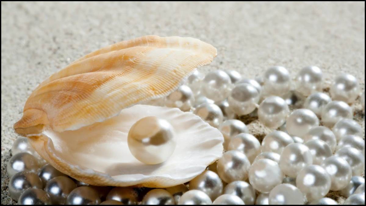 Moti or Pearl in Gemology: खूबसूरत ही नहीं उपयोगी जेमस्टोन भी है मोती ...