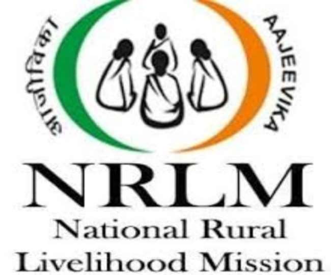 इस सरकारी विभाग में अचानक बदला पदनाम और आधा हो गया मानदेय भी, नाराज हैं ...