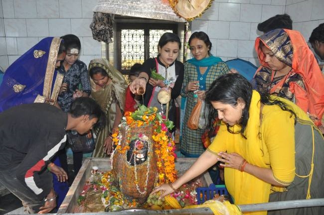 महाशिवरात्रि : कंकर-कंकर शंकर का अद्भुत नजारा देख भक्त निहाल ...