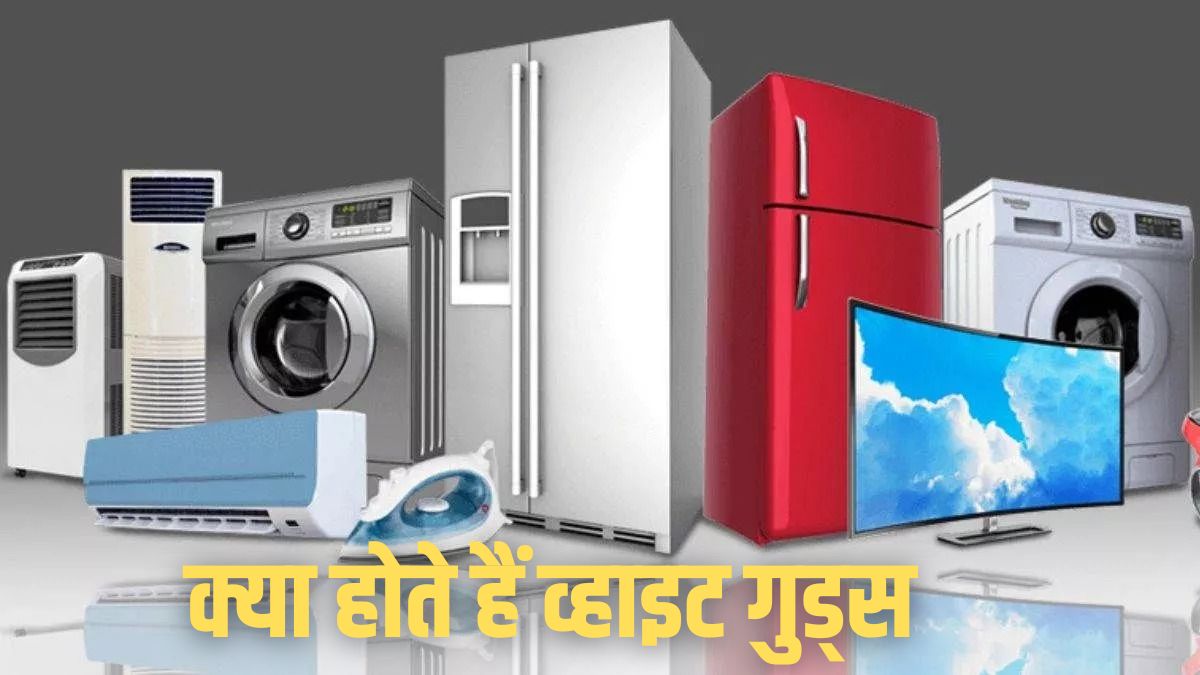 White Goods: क्या होते हैं व्हाइट गुड्स और ब्राउन गुड्स, रोजाना ...