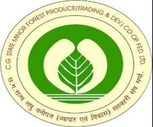 लघु वनोपज की खरीदारी में छत्तीसगढ़ बना देश का नंबर वन राज्य ...