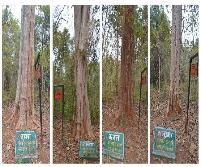 पांच सौ साल प्रतीकात्मक रूप में खड़े हैं राम, लक्ष्मण, भरत और शत्रुघ्न ...