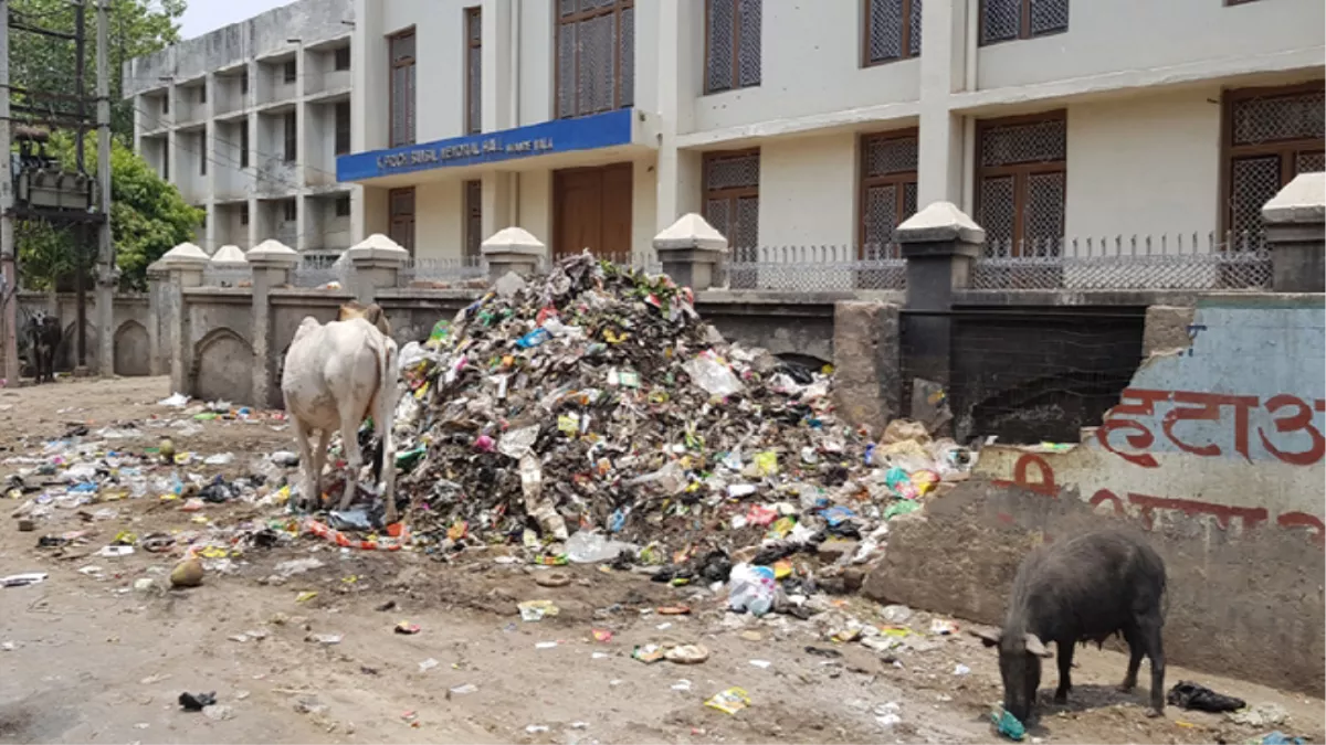 हांसी में लगेगा क्लस्टर स्तरीय सालिड वेस्ट मैंनेजमेंट प्लांट, कचरे से ...