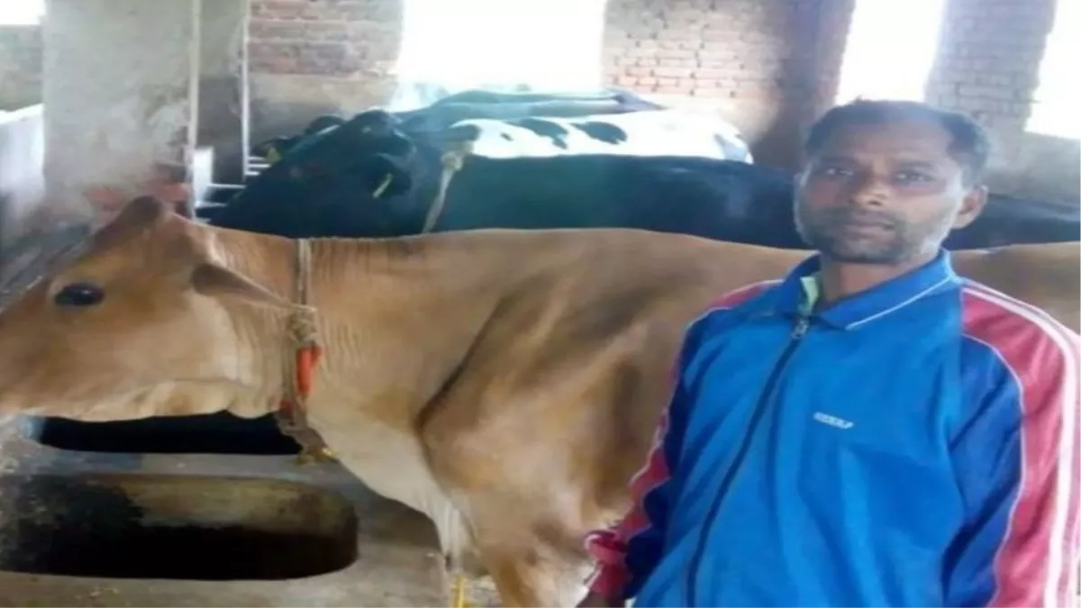 World Milk Day: पहले करता था मजदूरी... गौ माता की सेवा से मिलने लगा हर ...