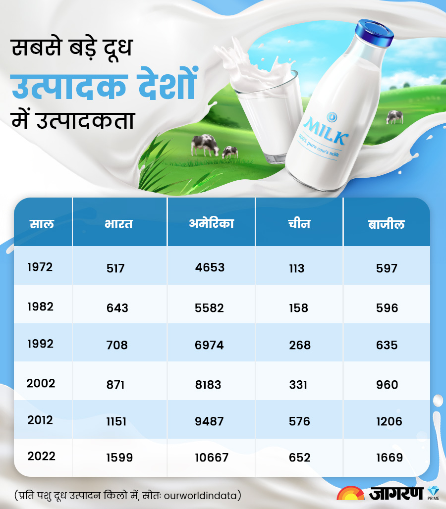 World Milk Day भारत दुनिया का सबसे बड़ा दूध उत्पादक लेकिन प्रति पशु ...