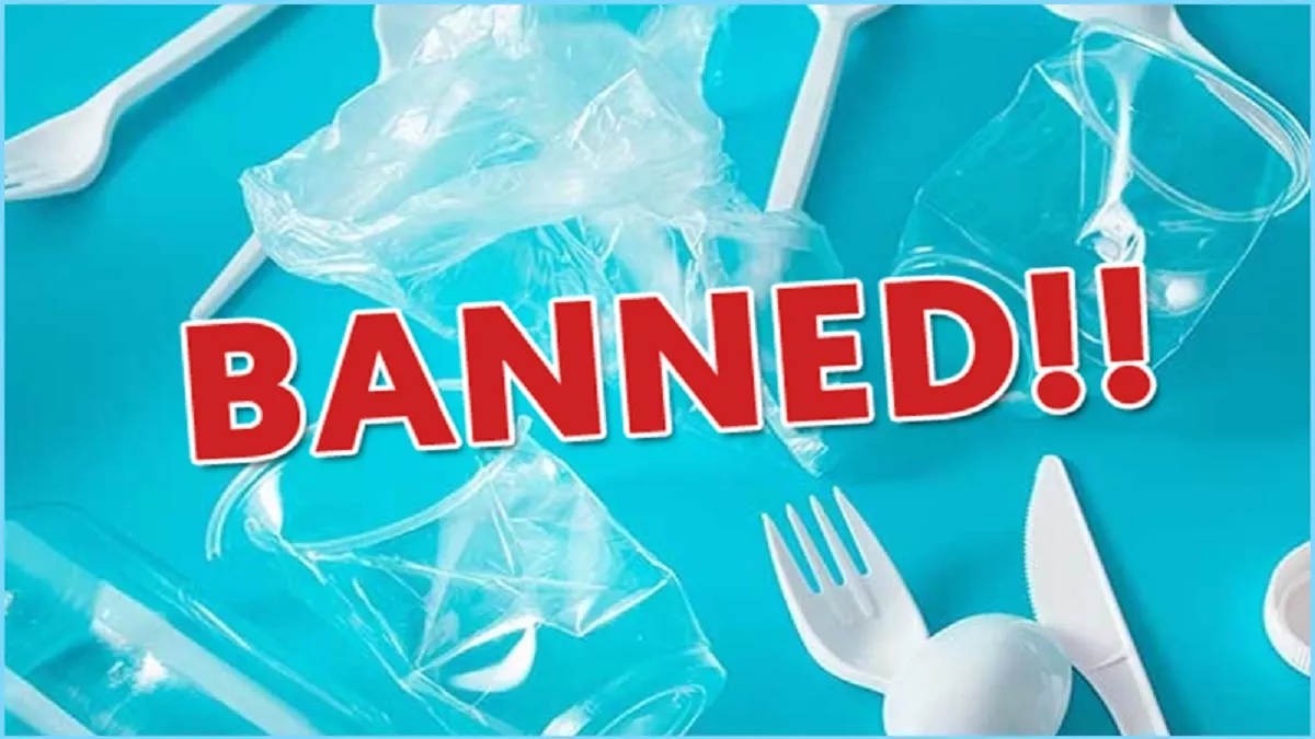 Single Use Plastic Ban : सिंगल यूज प्लास्टिक पर प्रतिबंध को लेकर उत्तर ...