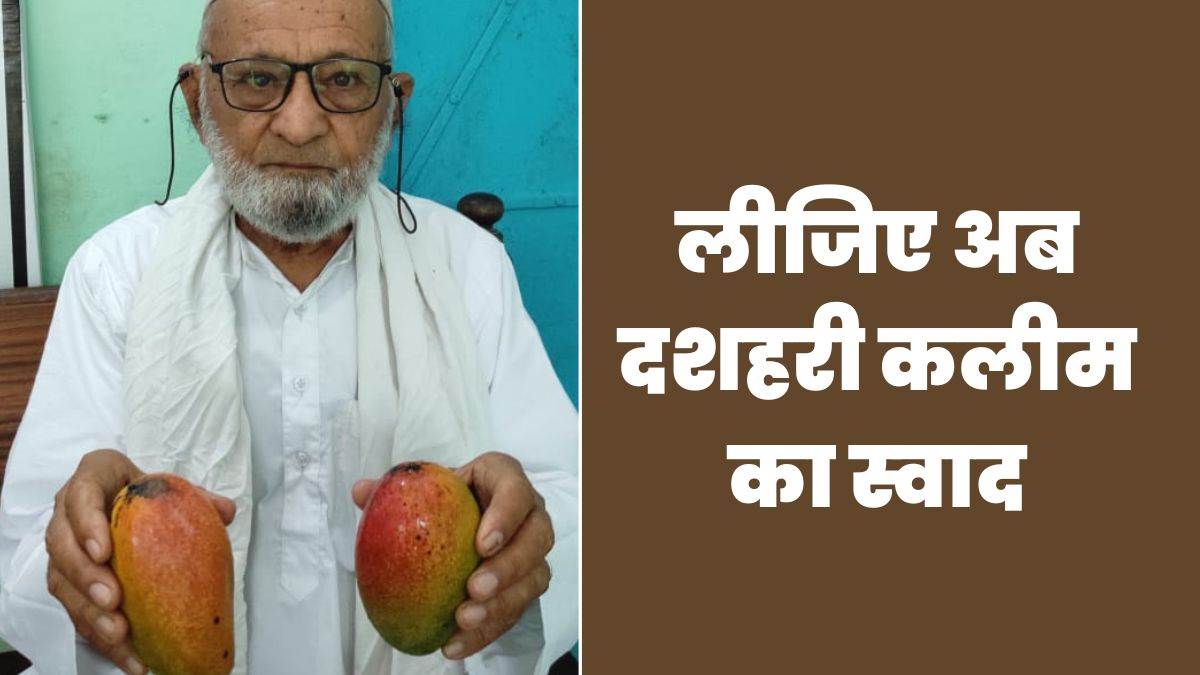 Mango Man : दशहरी आम के स्‍वाद से लोगों का मोह हो रहा था भंग; मैंगो मैन ...