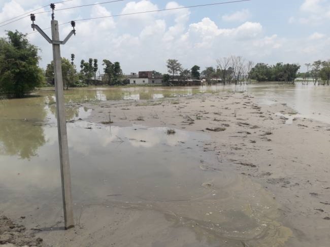 सिकटी में लाखों रुपये की बोई गई खरीफ फसल चढ़ी बाढ़ की भेंट - araria ...