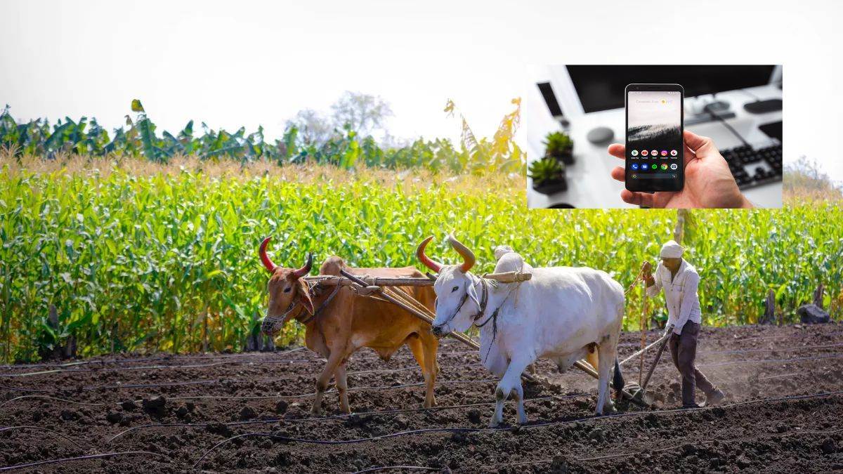 Digital Crop Survey: मोबाइल एप के जरिए होगा अब फसलों का सर्वे ...