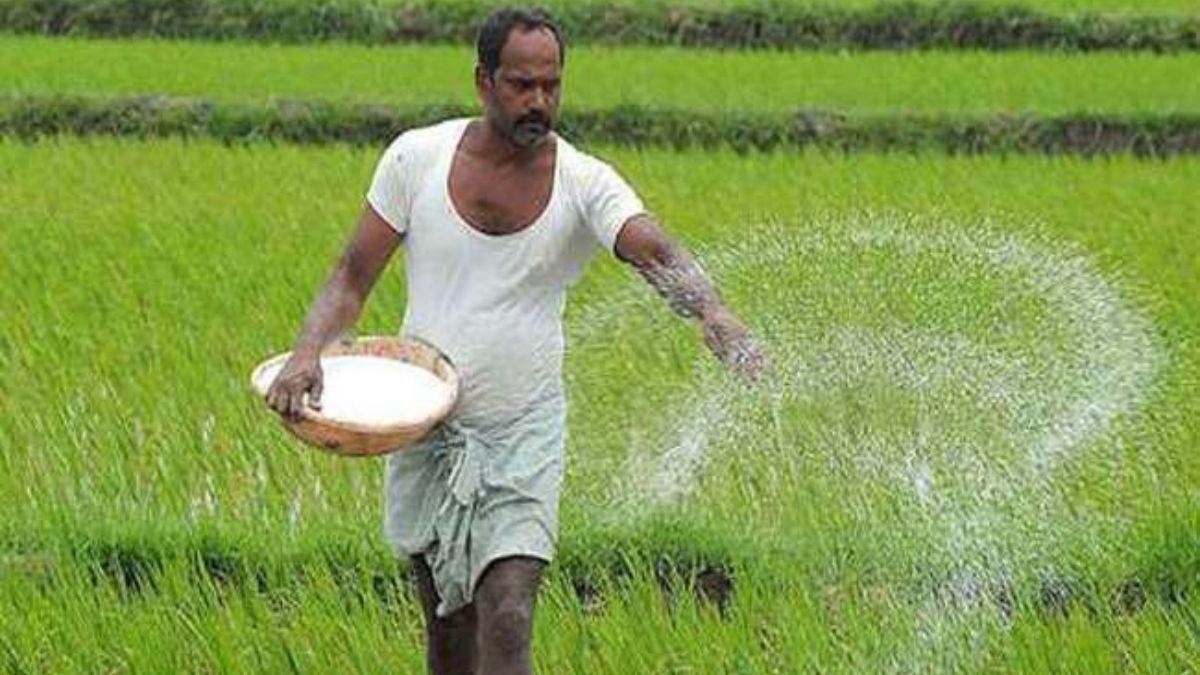 Jharkhand News: झारखंड में किसानों को अब मिलेगी 90 प्रतिशत बीज सब्सिडी ...