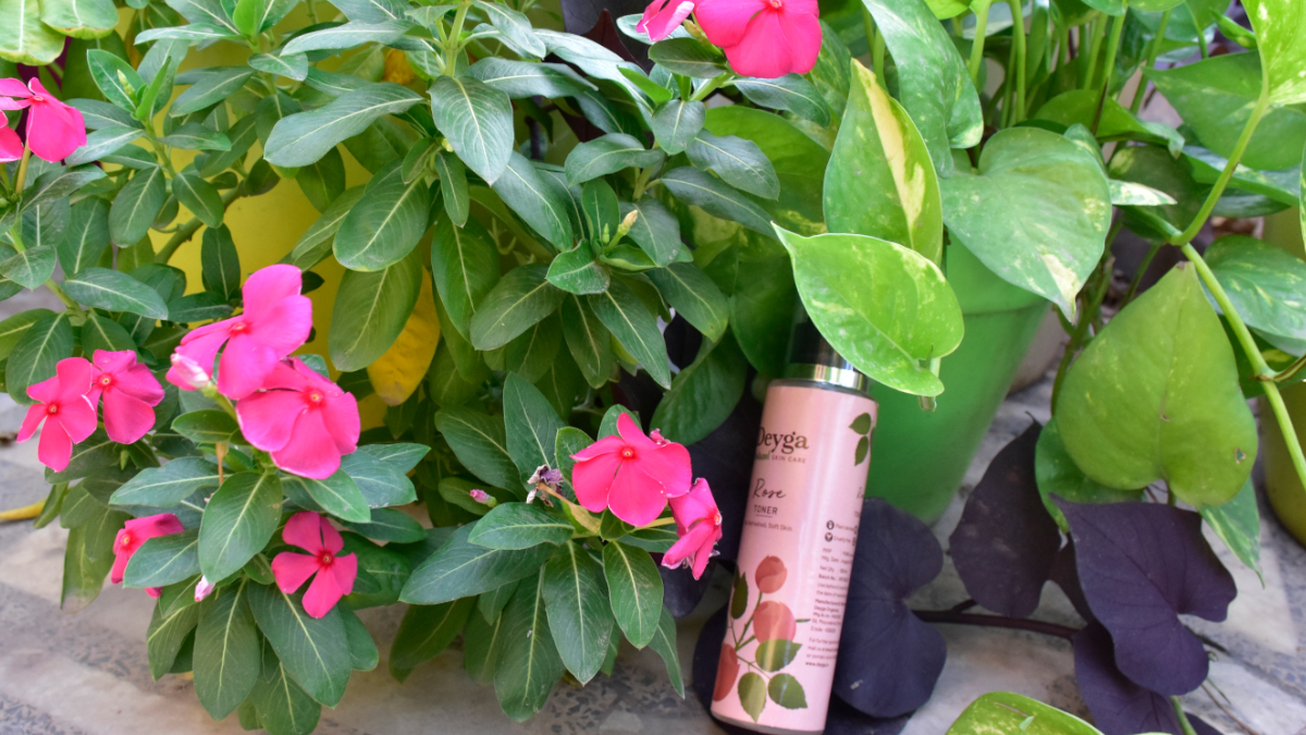 Toner Benefits: दिखना है लंबे समय तक जवां और खूबसूरत, तो टोनर को जरूर ...