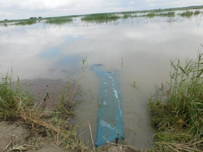 पानी आने से तृप्त हुई दो वर्षों से सूखी बरैला झील - baraila lake full ...